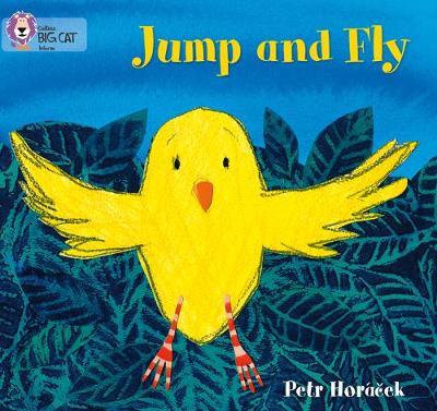 Jump and Fly: Band 01A/Pink A (Collins Big Cat) | Heath Educational Books