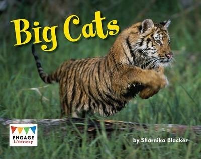 Level 14: Big Cats | Heath Educational Books