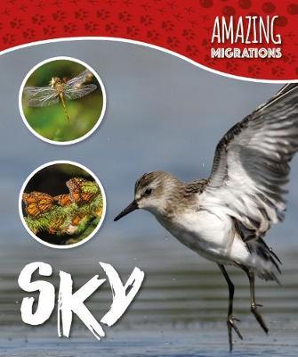 Amazing Migrations: Sky | Heath Educational Books