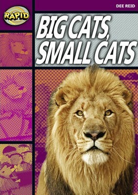 Rapid Reading: Big Cats Small Cats (Stage 1, Level 1A) | Heath ...