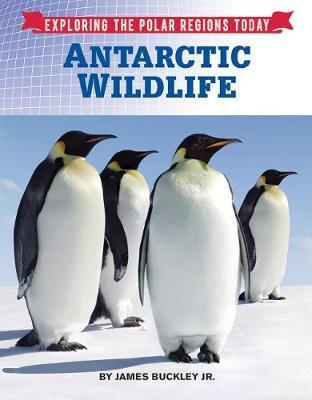 Antarctic Wildlife | Heath Educational Books