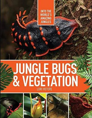 Jungle Bugs & Vegetation | Heath Educational Books