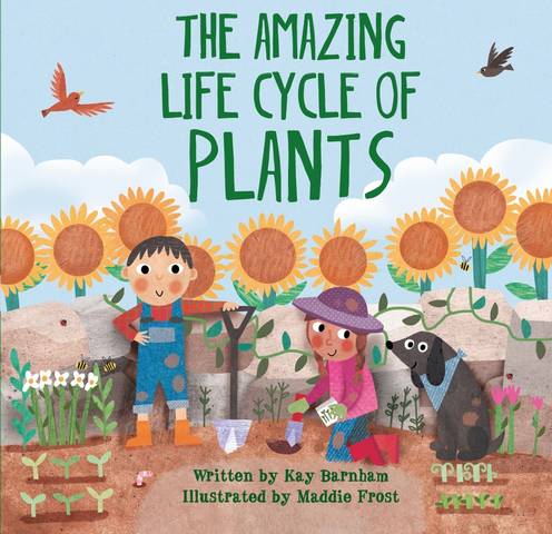 Look and Wonder: The Amazing Plant Life Cycle Story | Heath Educational ...