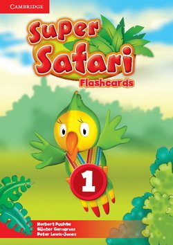 Super Safari 1 Flashcards (Pack of 40) | Heath Educational Books