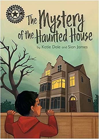 Reading Champion: Independent Reading Level 12: The Mystery of the ...