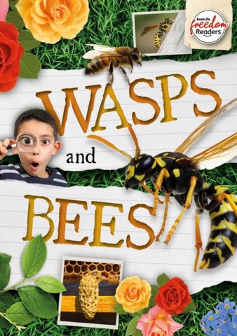 Wasps and Bees | Heath Educational Books