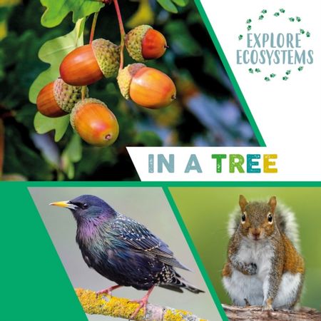 Explore Ecosystems: In a Tree | Heath Educational Books