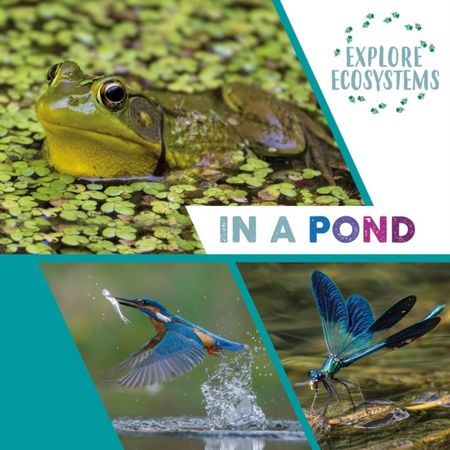 Explore Ecosystems: In a Pond – Sarah Ridley – Heath Books