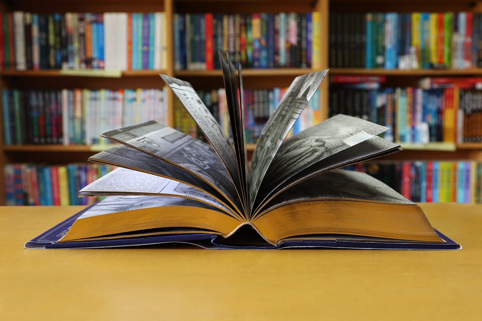 Home | Heath Educational Books | Book Suppliers For Schools