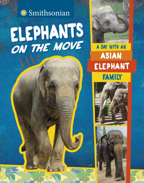 Elephants on the Move: A Day with an Asian Elephant Family | Heath ...