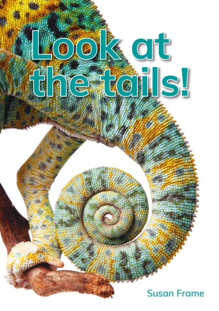 Red Squirrel Reading Road Level 1: Look at the Tails! | Heath ...