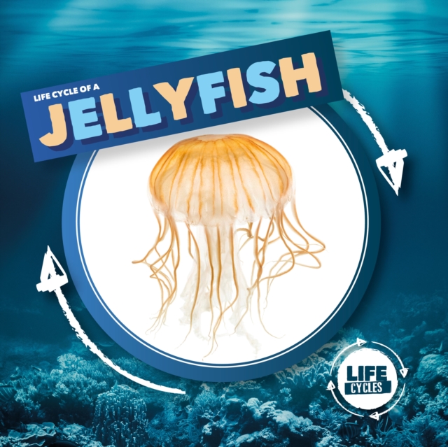 Life Cycle of a Jellyfish | Heath Educational Books