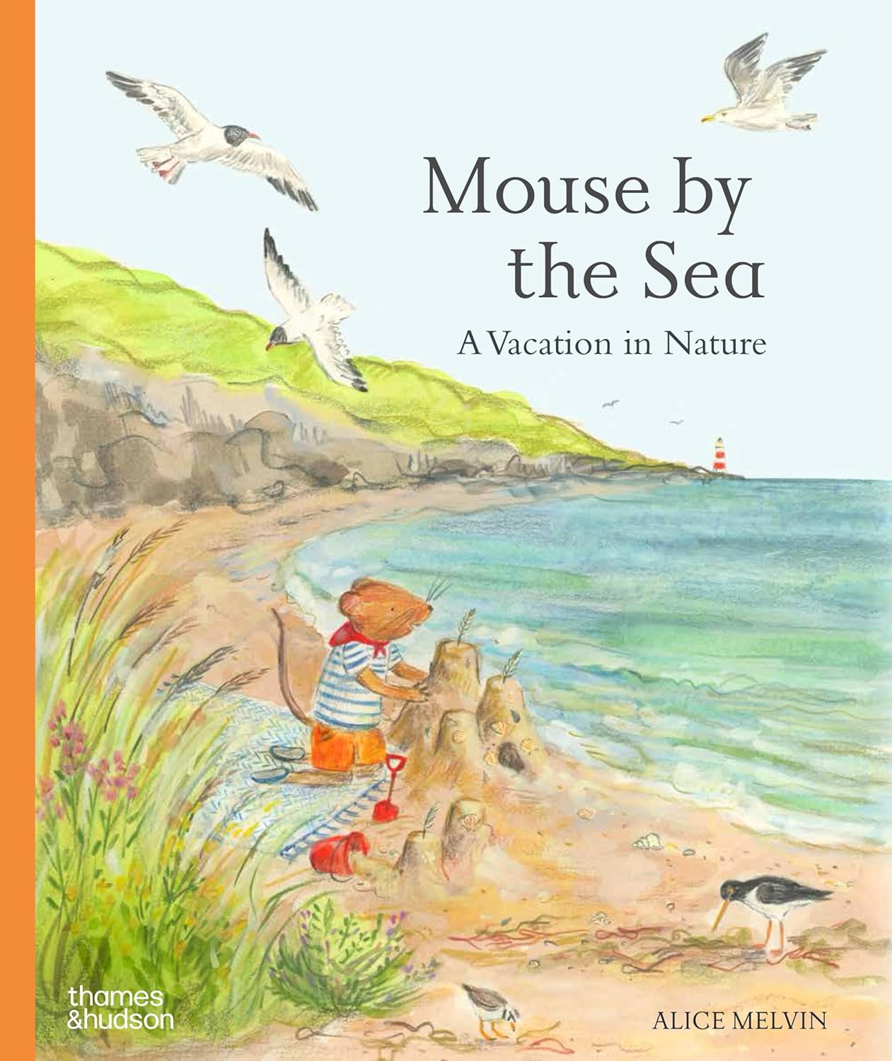 Mouse by the Sea: A Holiday in Nature | Heath Educational Books